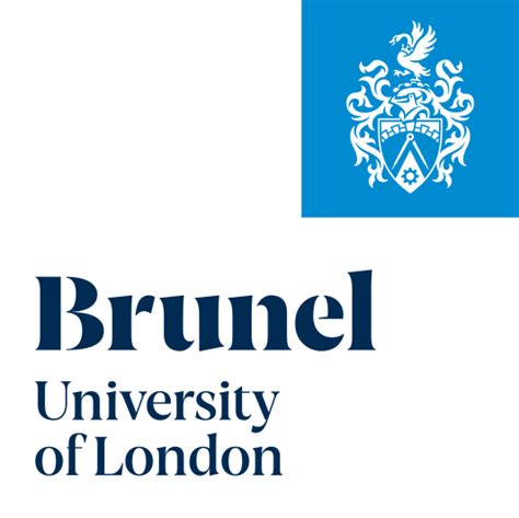 Visiting Professorship Brunel University London