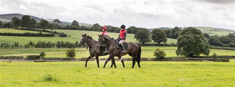 Our Brands - Red Mills