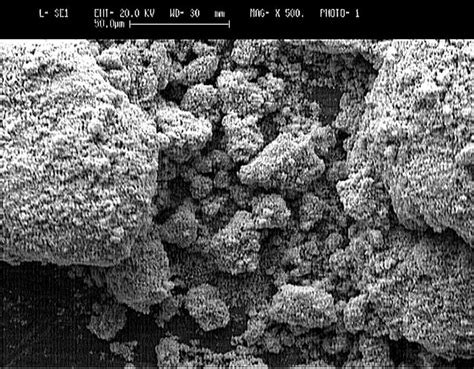 SEM Image Of Dried Powder Calcined At O C Download Scientific Diagram