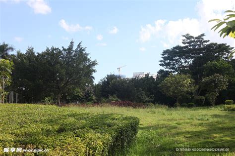 坪山湿地公园摄影图 山水风景 自然景观 摄影图库 昵图网nipic