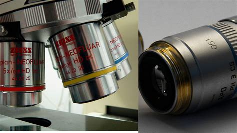 Practical Biology Notes Online