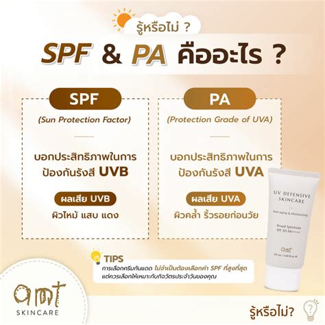 รู้หรือไม่ ค่า Spf กับ Pa คืออะไร Amt Skincare