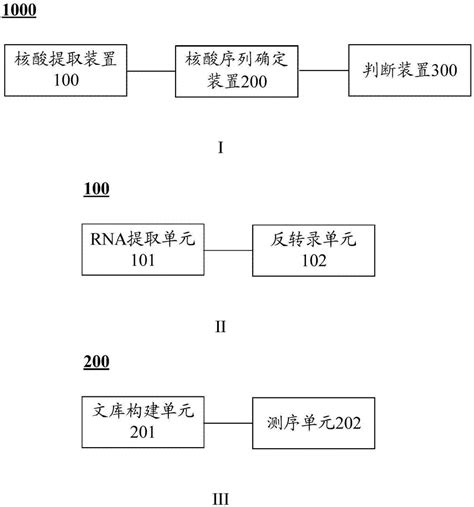 Cyp4v2 Gene Mutant And Application Thereof Eureka Patsnap
