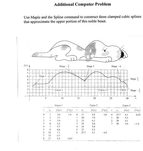 Solved Additional Computer Problem Use Maple And The Spline