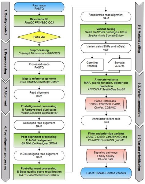 Bioinformatics Workflow Of Whole Exome Sequencing