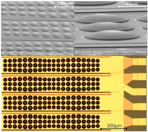 Piezoelectric Micromachined Ultrasound Transducer Pmut Arrays For Integrated Sensing