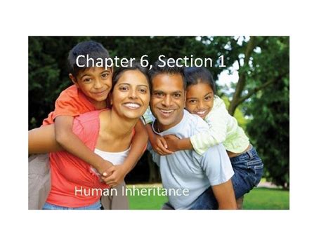 Chapter 6 Section 1 Human Inheritance Patterns Of