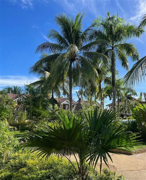 Workspacecityart Added A New Photo — Workspacecityart