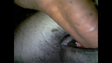 Nice Mare 3 Zoo Tube 1