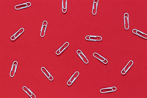 흰색 금속 종이 클립은 빨간색 배경에 무작위로 흩어져 있습니다 비즈니스 개념 연구 개념 0명에 대한 스톡 사진 및 기타 이미지 Istock