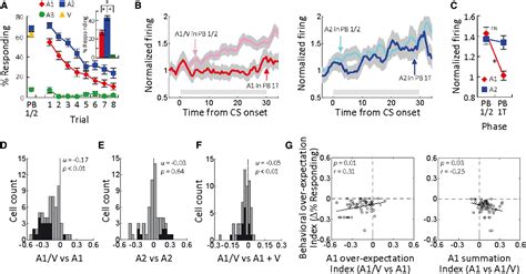 Pdf Neural Estimates Of Imagined Outcomes In The Orbitofrontal Cortex Drive Behavior And