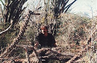 Man Eating Tree Human Eating Plants