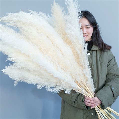 天然芦苇厂家批发大蒲苇干花花束网红装饰婚庆仿真家居装饰