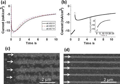 Ab Chronoamperograms Of Single Potential A And Double Potential