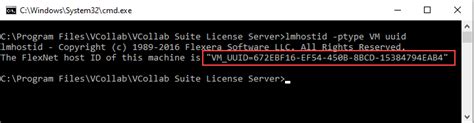 License Configuration On Virtual Machine With Dynamic Host Id Physical