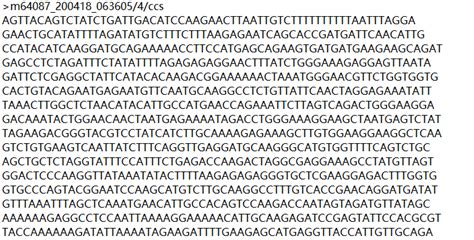 云工具 Pacbio全长无参转录组可变剪切分析