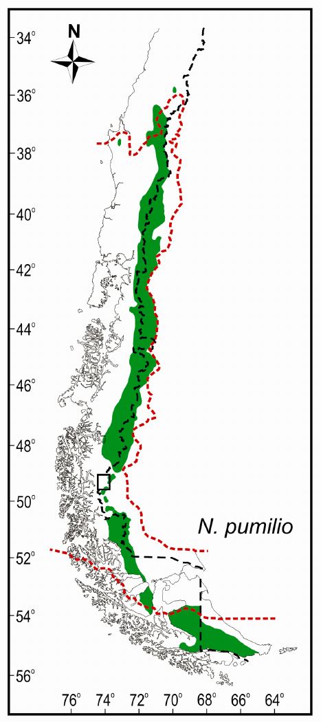 Map Showing The Distribution Of Nothofagus Pumilio Red Dotted Lines