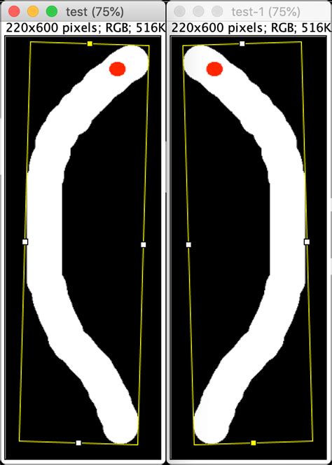 How To Control Rotation Of A Rotated Rectangle Selection During Image Duplication Image