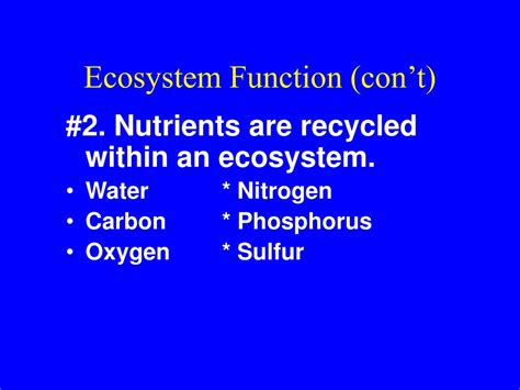 PPT Chapter Ecosystem Structure And Function PowerPoint Presentation ID