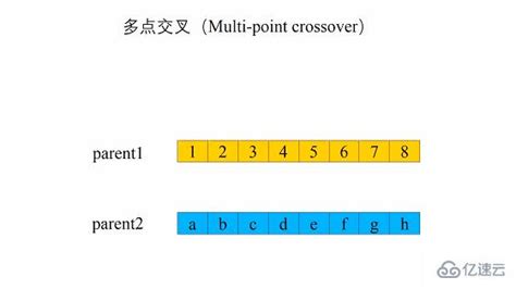 怎么用python遗传算法解决旅行商问题 Php博客 李雷博客