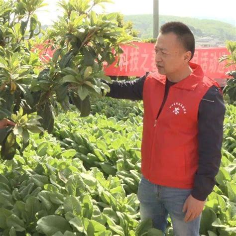 “科技之春”进乡村 现场把脉解难题蔬菜村民方面