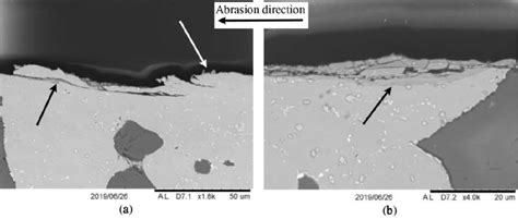 Microstructure Of The Friction Layer Was Formed During Abrasion At A Download Scientific