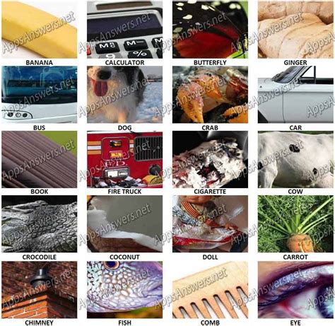 100 Pix Quiz CloseUps A K Answers Apps Answers Net