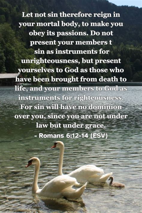 10 Bible Verses To Help Overcome Sin Joyful Moments In Christ