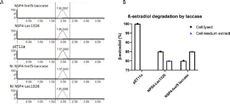 LC MS analysis of β estradiol degradation by recombinant laccases A Download Scientific