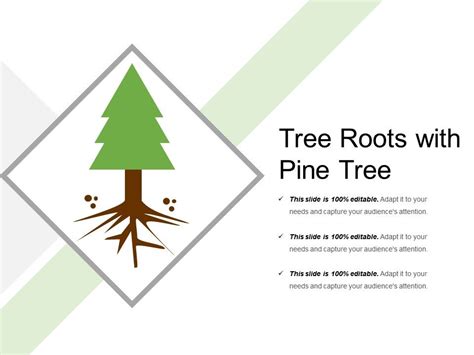 Tree Roots With Pine Tree Presentation PowerPoint Templates PPT Slide Templates