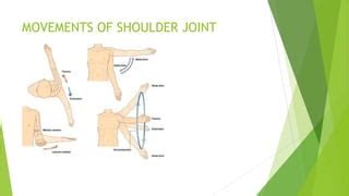 Anatomy Of Shoulder Joint And Its Examinationpptx