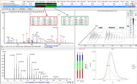 Protein Quantification SILAC ITRAQ TMT Label Free Quantification