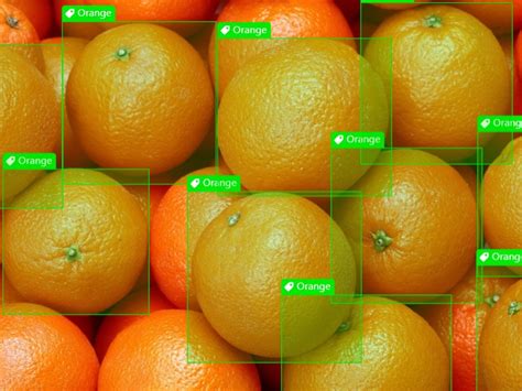 Image Annotation Bounding Box Segmentation Data Labeling For AI Upwork