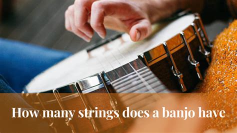 How Many Strings Does A Banjo Have An Important Guide About Of Them The Banjo Guide
