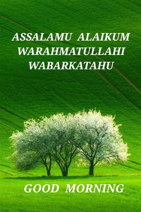😇assalamualaikum Warahmathullahi Wabarkatuhu 😇 Good Morning ☀️ Good