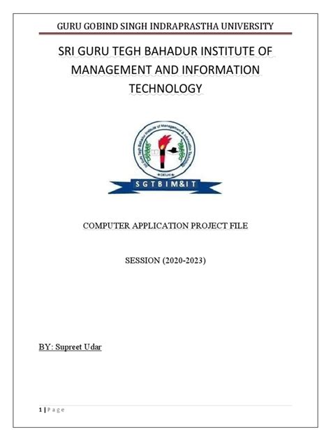 computer application project file pdf microsoft word microsoft excel
