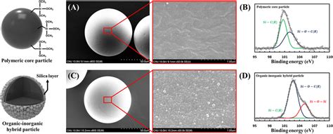 Analysis Of The Surface Morphology And Chemical Bonding Of The Download Scientific Diagram