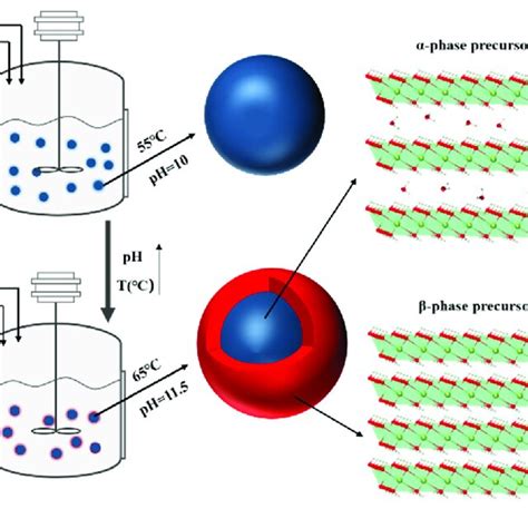 Synthesis Of Core Shell Structure Precursors And Schematic Diagram