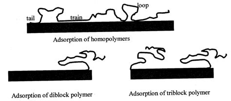 Polymer Adsorption At Interfaces Download Scientific Diagram