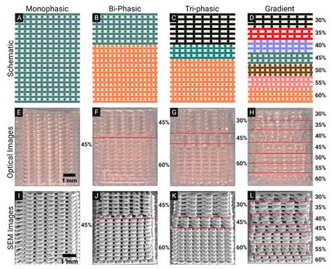 Zonalgradient Structures For Osteochondral Tissue Engineering