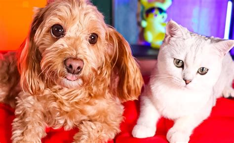 Лайки Like 2024 смотреть сериал онлайн в хорошем качестве на