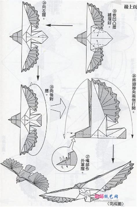 周显宗飞鹰折纸教程图解 动物折纸 折纸教程三 晒宝手工晒晒纸艺网