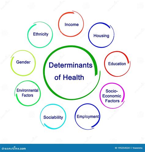 Determinants Cartoons Illustrations Vector Stock Images 235 Pictures To Download From