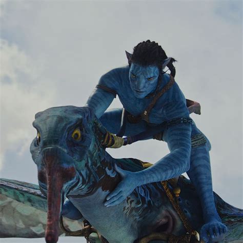 Jake Sully Avatar Icons Avatar Movie Avatar James Cameron Avatar