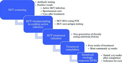 Steps Of Hepatitis C Care Cascade In Georgian Hepatitis C Elimination Download Scientific