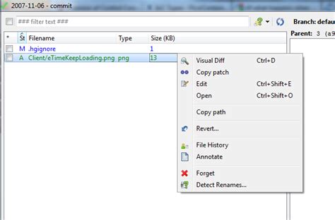 version control can t ignore a file in mercurial commit tortoisehg