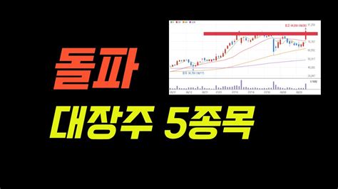 전고점 돌파 직전 치매 치료제 관련주 대장주 5종목 알츠하이머 샤페론 보로노이 퓨쳐켐 유한양행 에이비엘바이오 Youtube