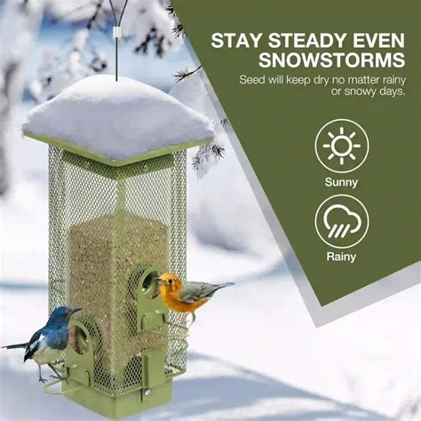 Gravity Protection Squirrel Proof Bird Feeder 2lbs Seed Capacity
