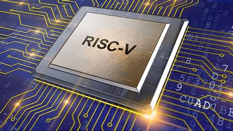 Choosing The Risc V Cpu Development Board A Comprehensive Guide Dfrobot
