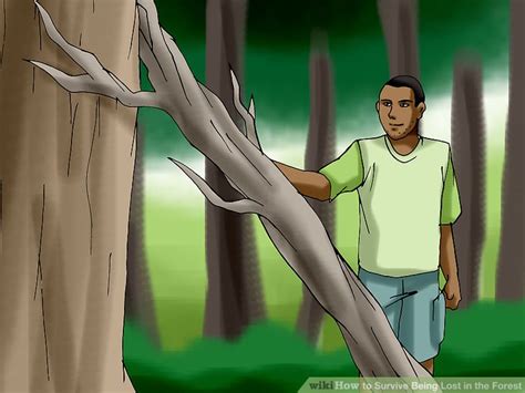 5 Ways To Survive Being Lost In The Forest Wikihow